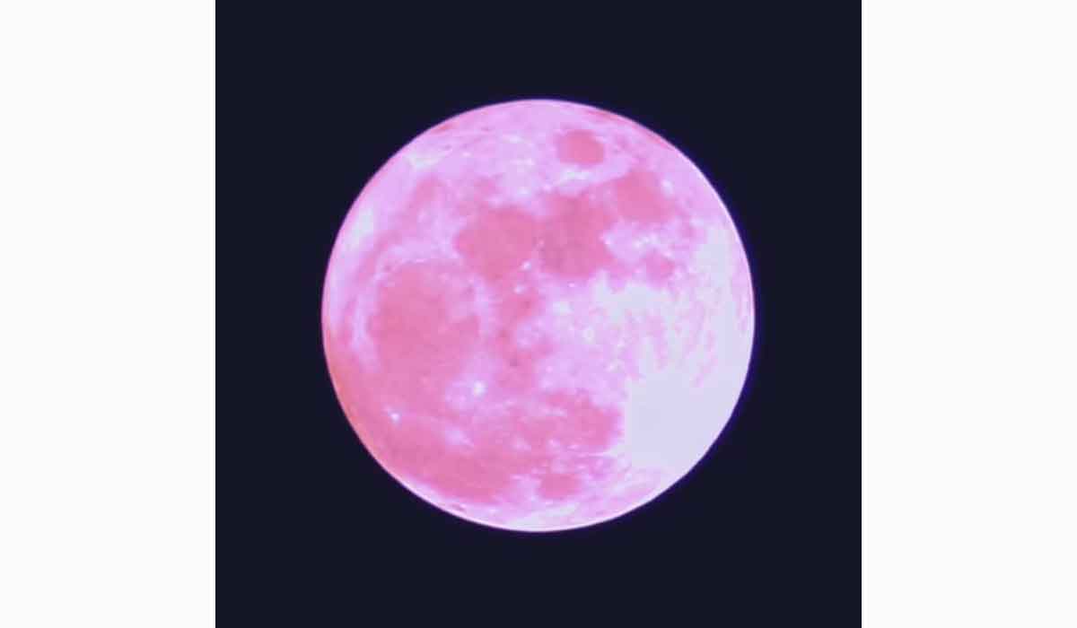 Apakah Bulan Benar-Benar Berwarna Merah Muda Ketika Fenomena Pink Moon ...