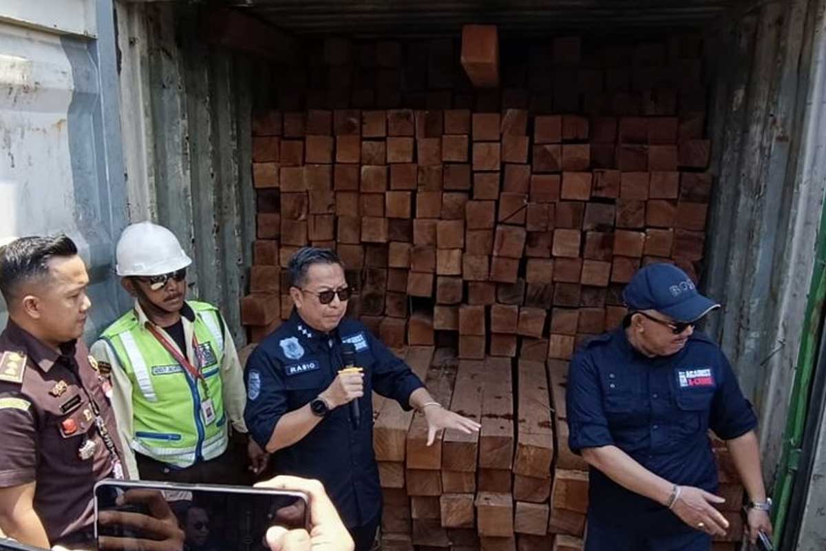 Puluhan Kontainer Berisi Kayu Ilegal di Surabaya Diamankan KLHK | BANGSAONLINE.com - Berita ...
