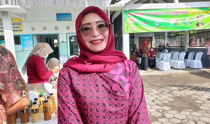 KDRT Dominasi Kasus Kekerasan Terhadap Perempuan di Kabupaten Blitar | BANGSAONLINE.com - Berita ...