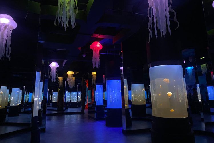 Harga Tiket Oceanarium BXSea Bintaro, Tempat Wisata Baru di Tangerang ...