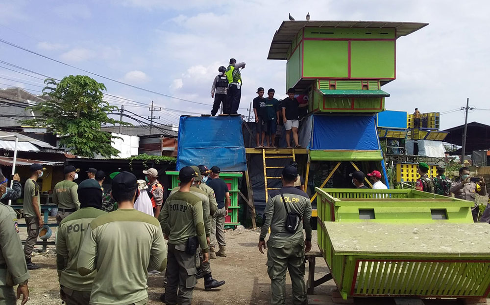 Arena Judi Merpati Terbesar di Surabaya Akhirnya Luluh Lantak, Pagupon ...