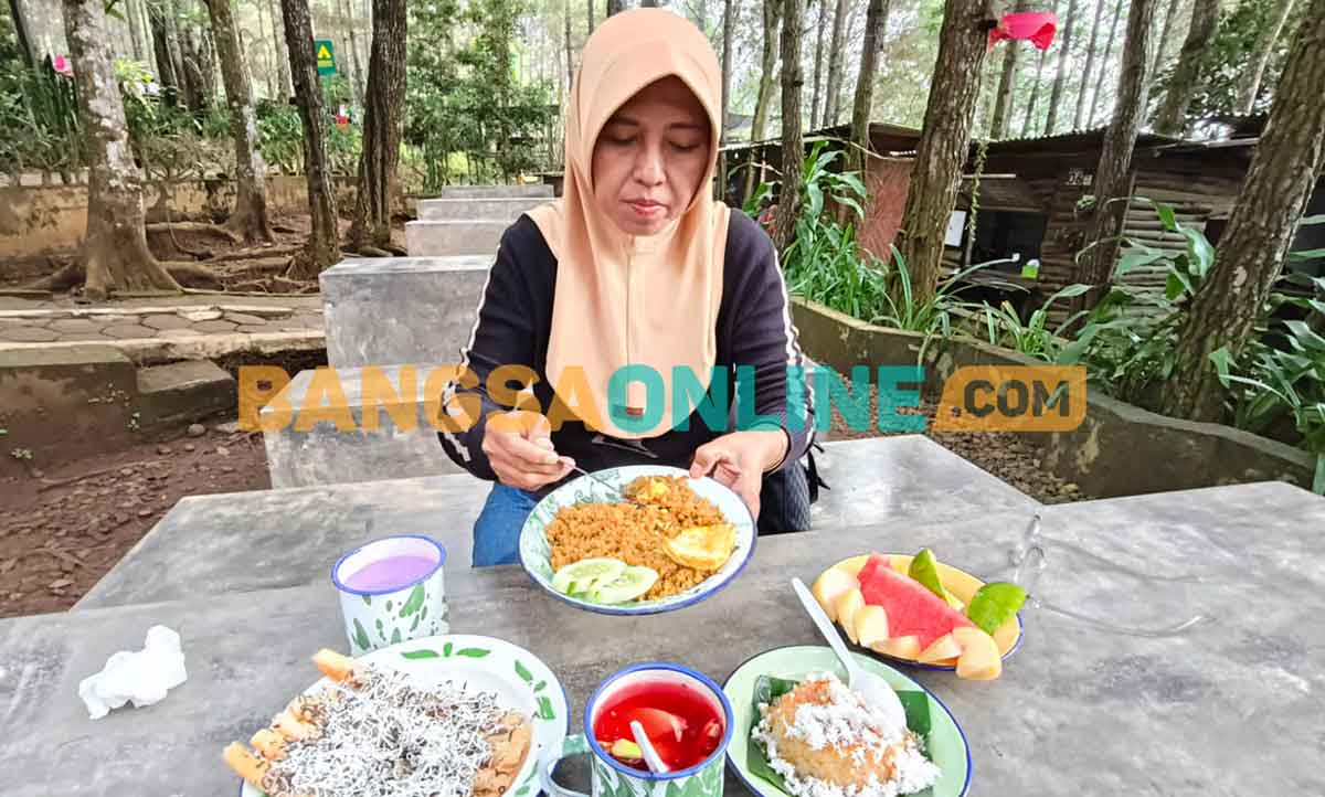 Keindahan Alam di Hutan Pinus Plapar: Wisata Asri dengan Ragam Kuliner ...