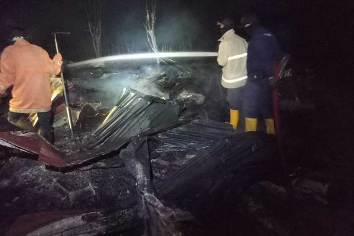 Diduga Korsleting Listrik, Kandang Ayam di Lamongan Terbakar, 500 Ayam Mati Terpanggang ...