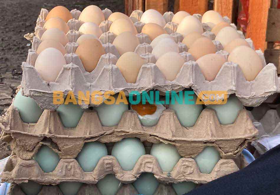 Harga Sembako Jatim 29 September 2025: Telur Ayam Kampung Rp46.370/kg ...