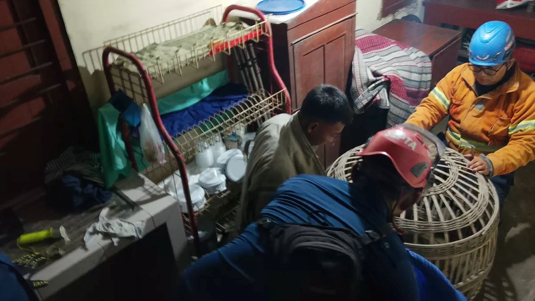 Monyet Lepas dan Serang Dua Warga Jombang, Damkar Butuh 1,5 Jam untuk ...
