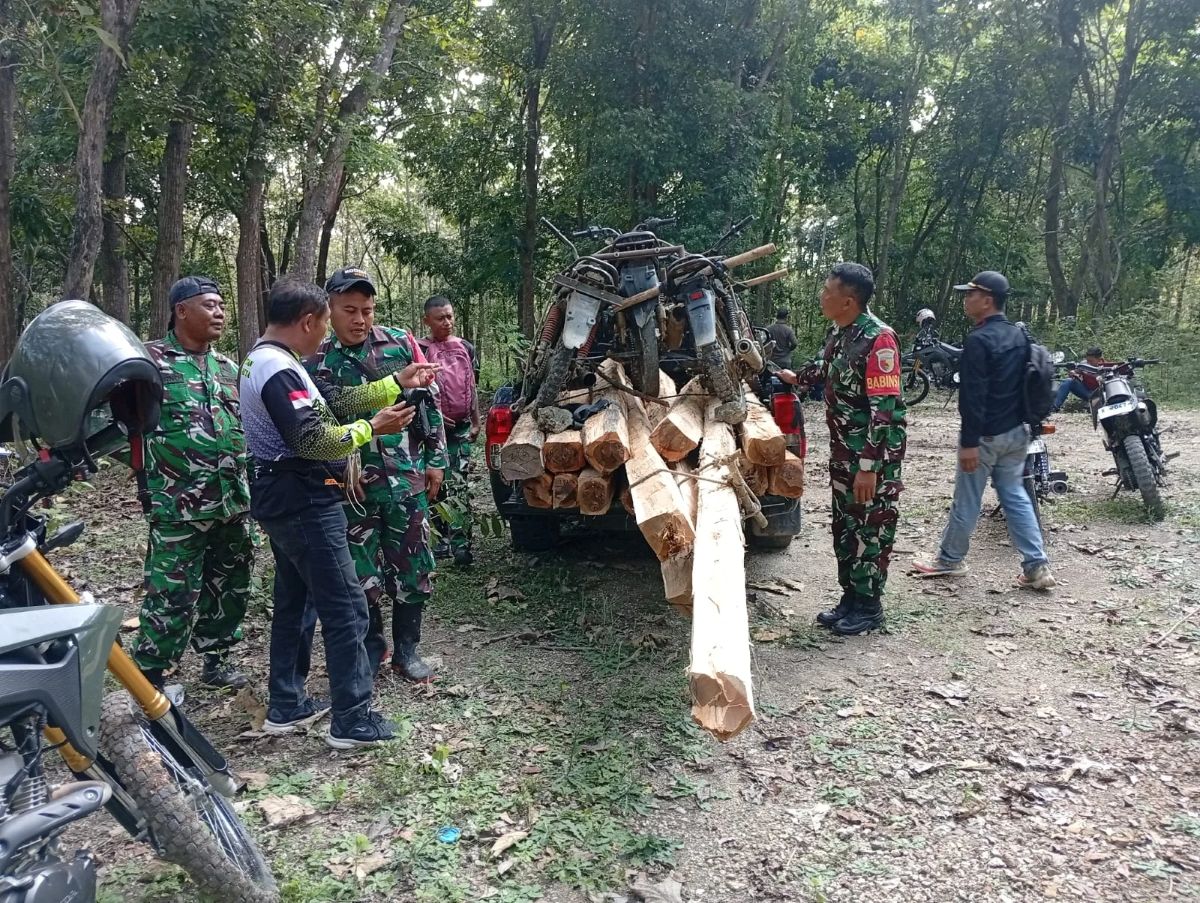 Aparat Gabungan Amankan Belasan Kayu Hasil Pembalakan Liar di Hutan ...