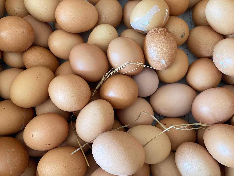 Update Harga Sembako Jatim 12 April 2025, Telur dan Daging Ayam Kampung ...